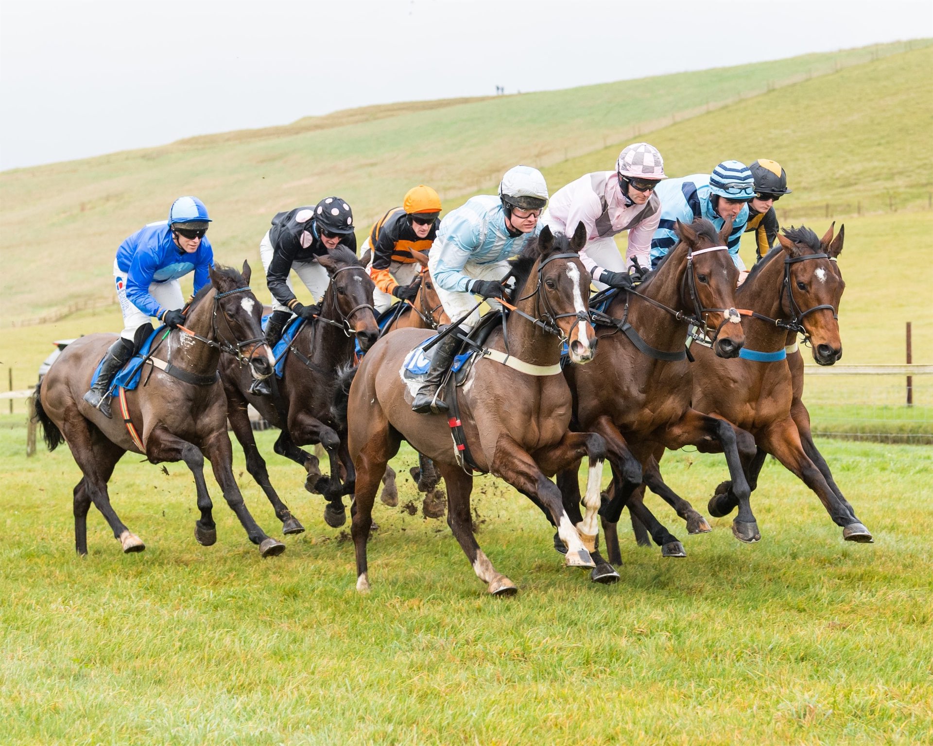 Barbury Racecourse - GB Pointing