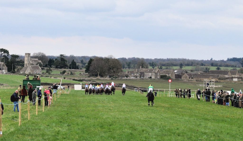 Didmarton - GB Pointing