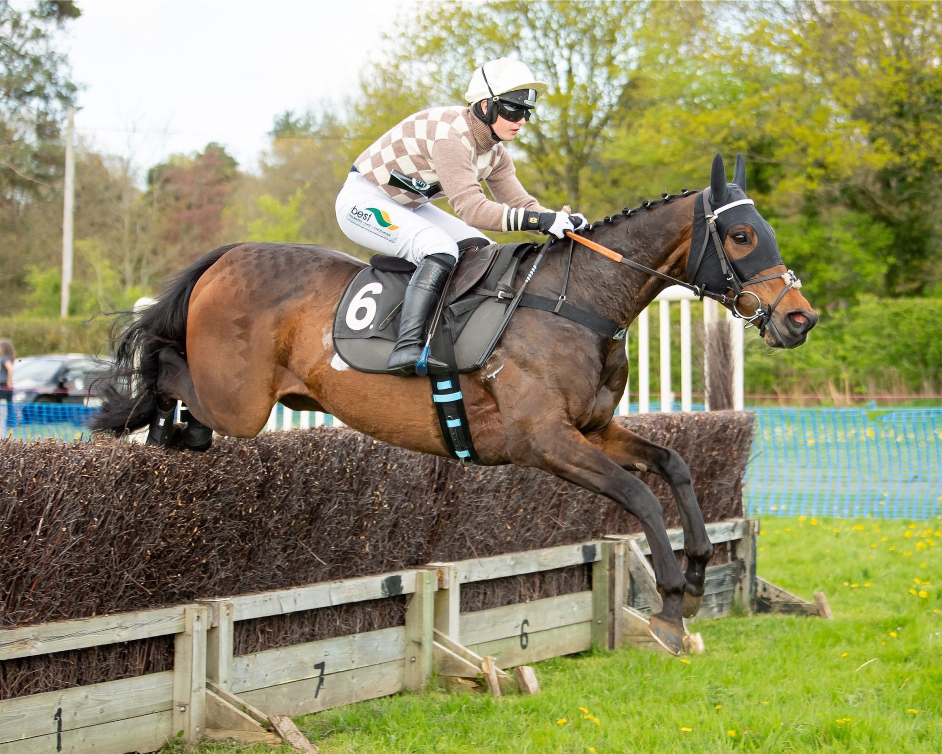 Godstone - GB Pointing