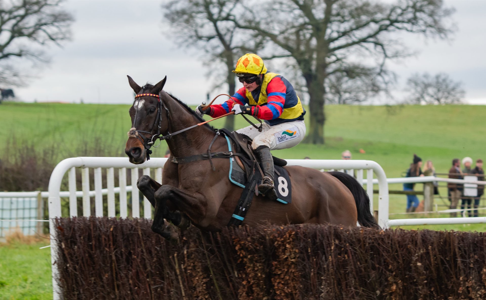 Chaddesley Corbett - GB Pointing