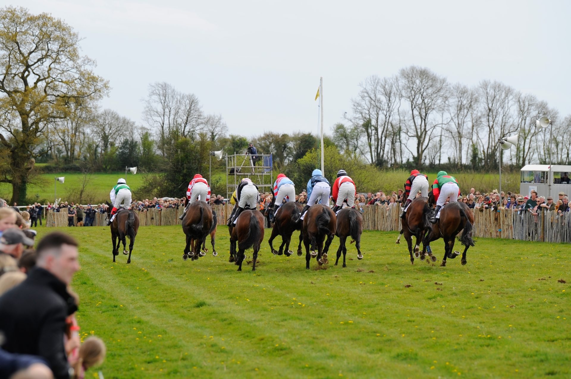 GB Pointing Bonus Young Horse Maiden Series Launches to Reward the ...
