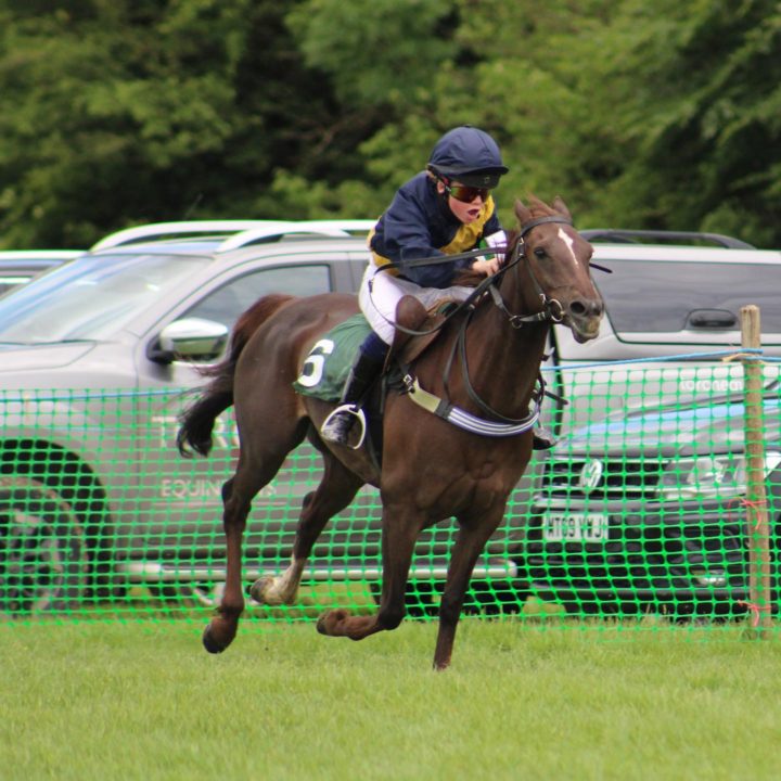 Pony Racing - GB Pointing