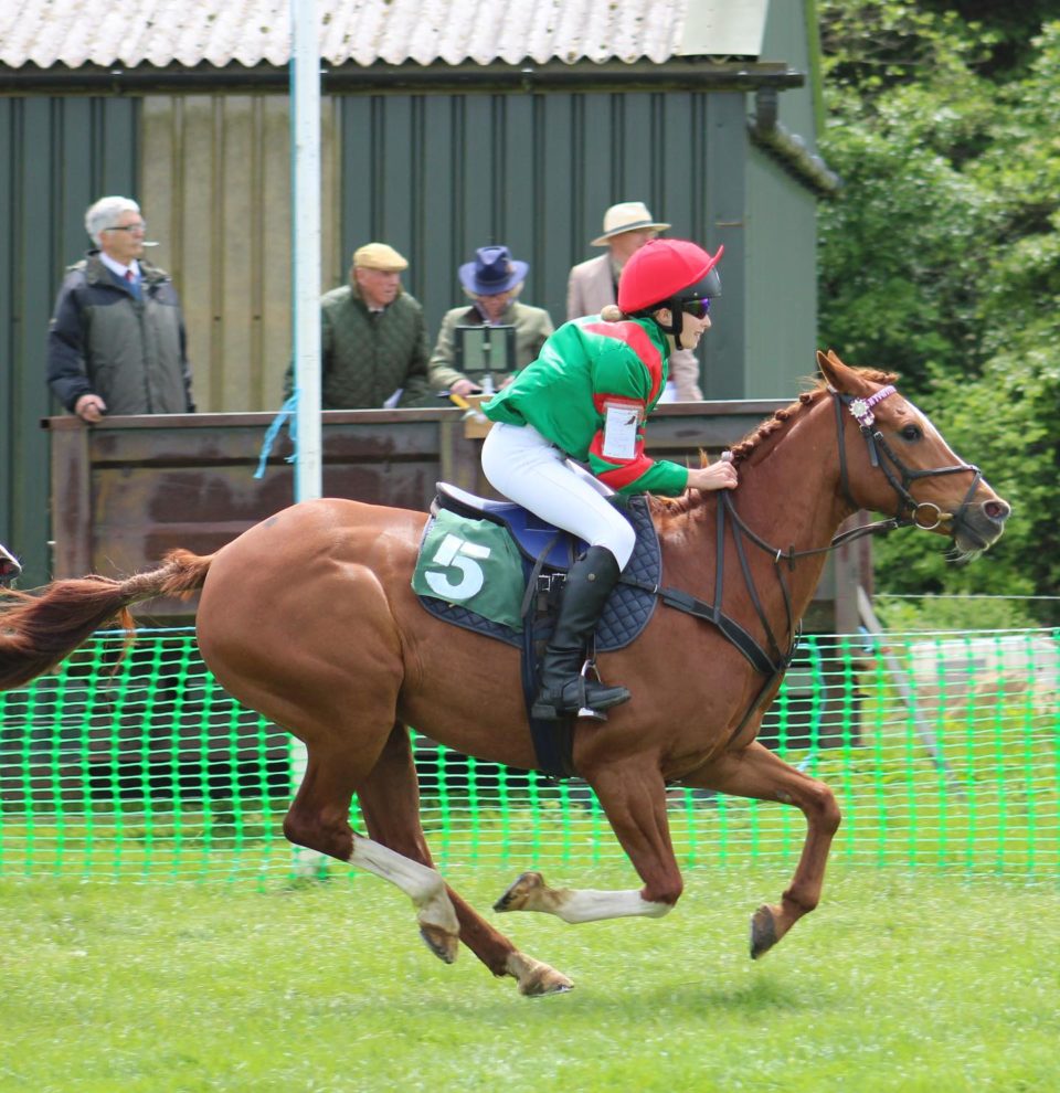 Pony Racing - GB Pointing