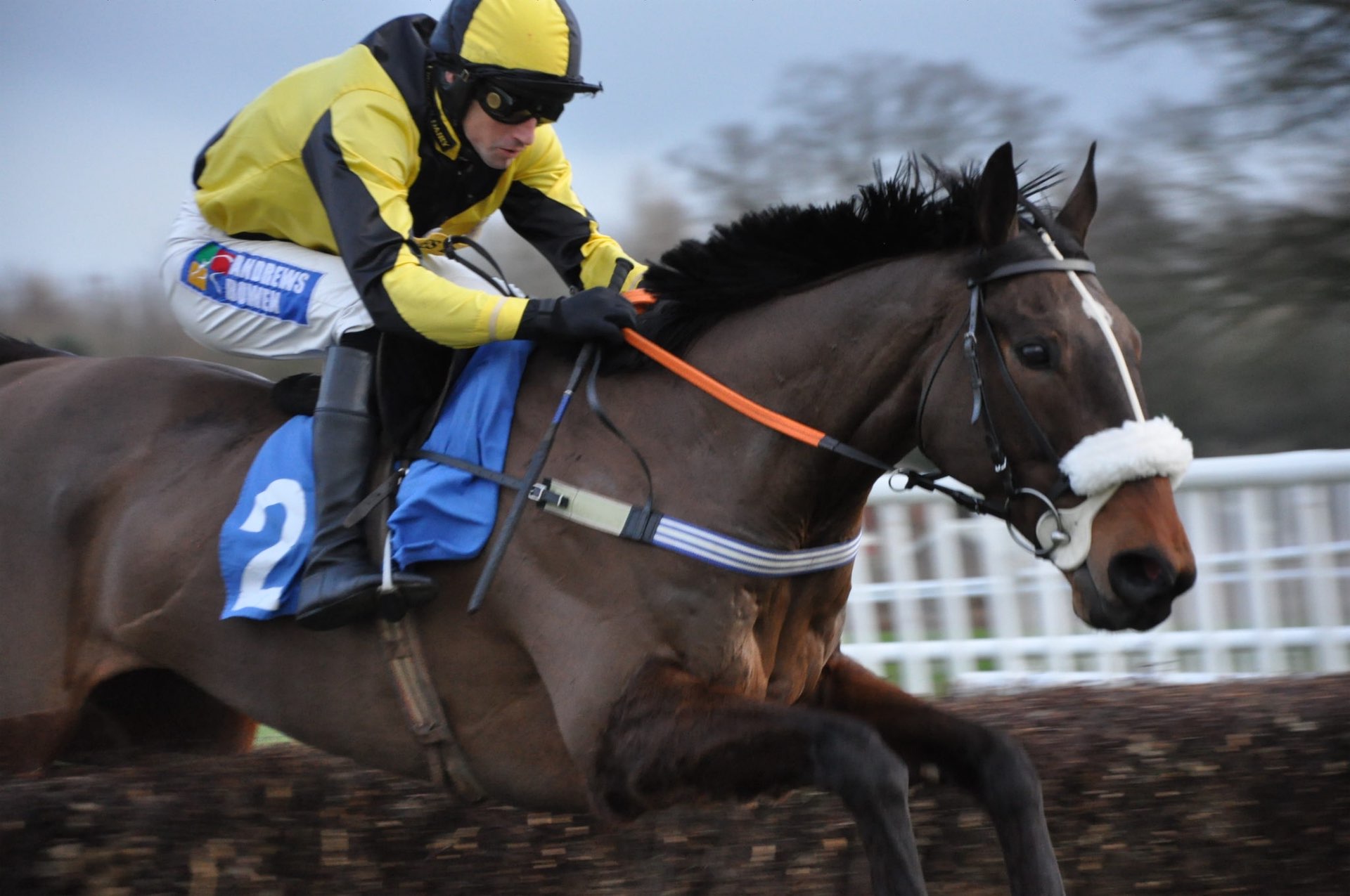 Will Biddick retires after 705 winners - GB Pointing