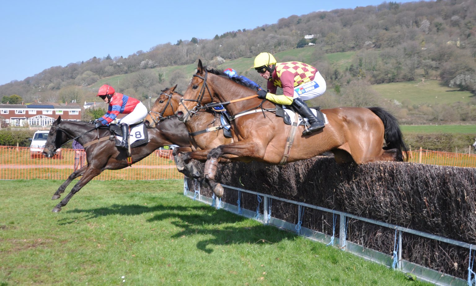 Will Biddick retires after 705 winners - GB Pointing