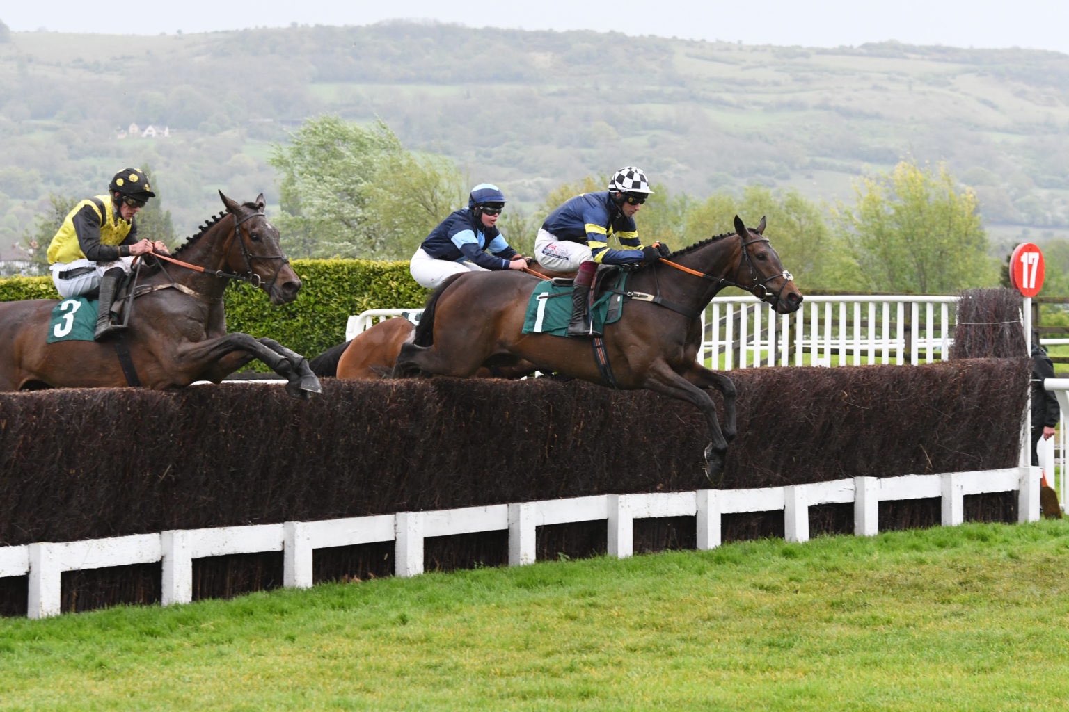 Will Biddick retires after 705 winners - GB Pointing
