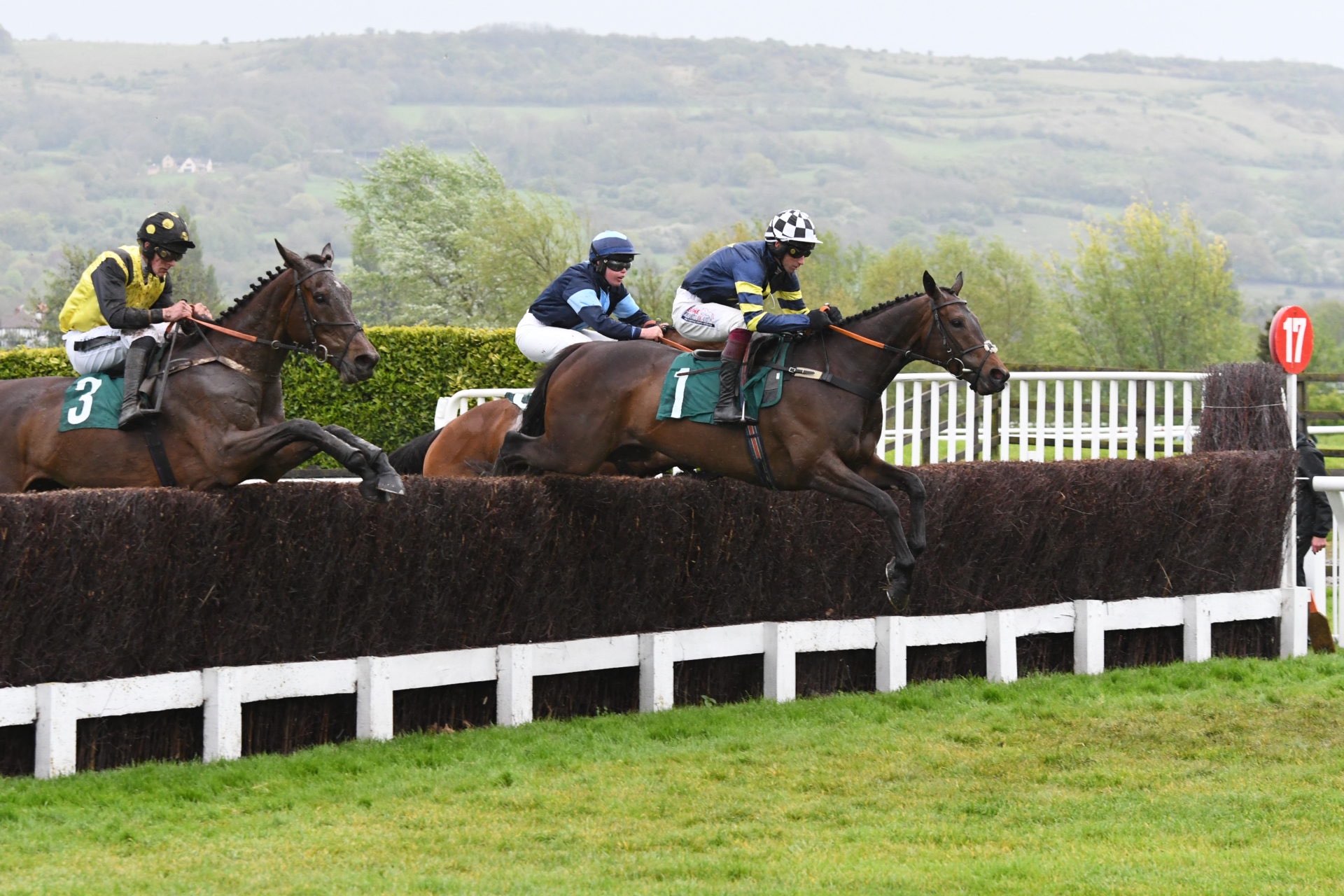 Will Biddick retires after 705 winners - GB Pointing