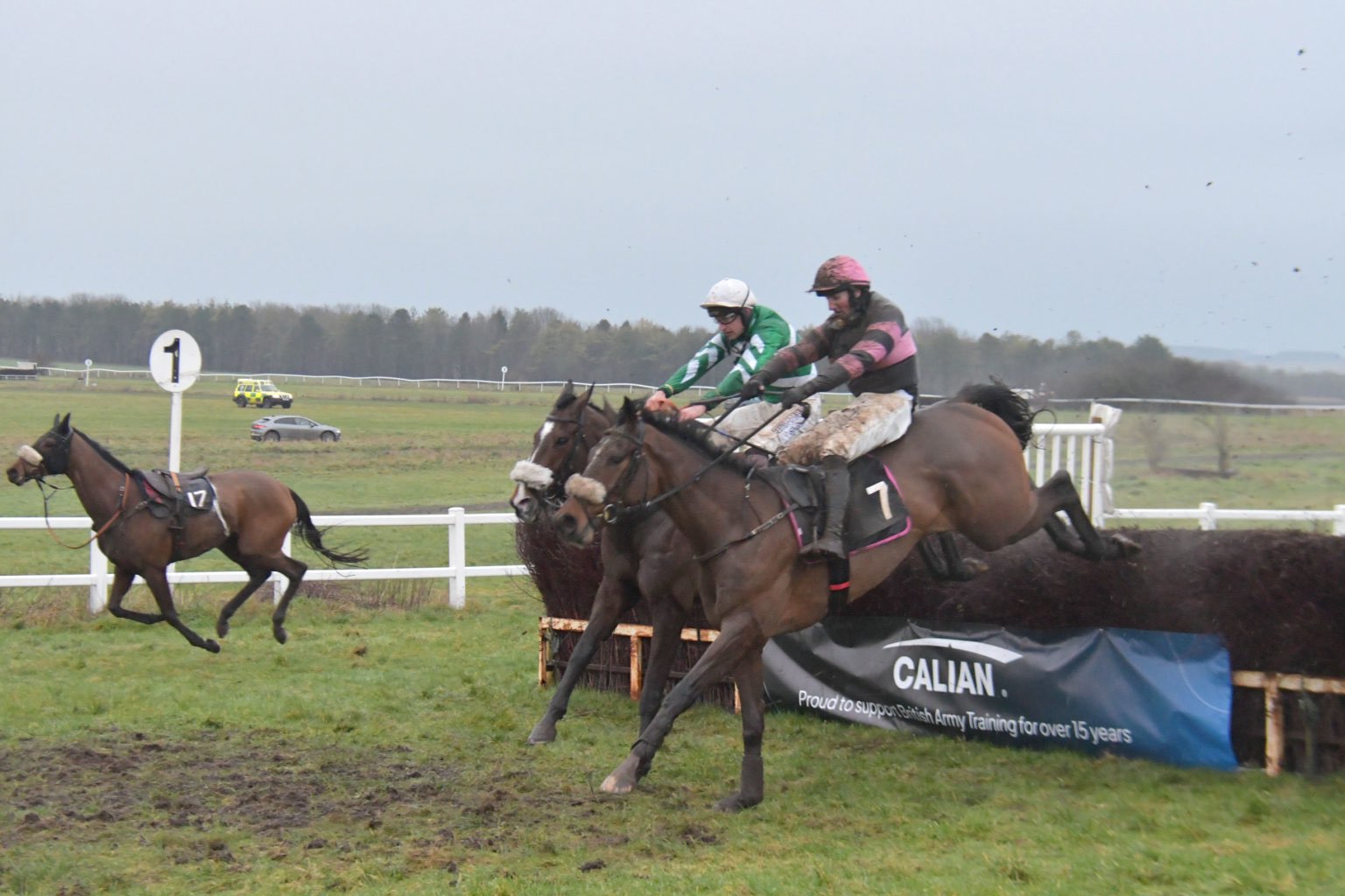 Hive heads to Tattersalls Cheltenham - GB Pointing